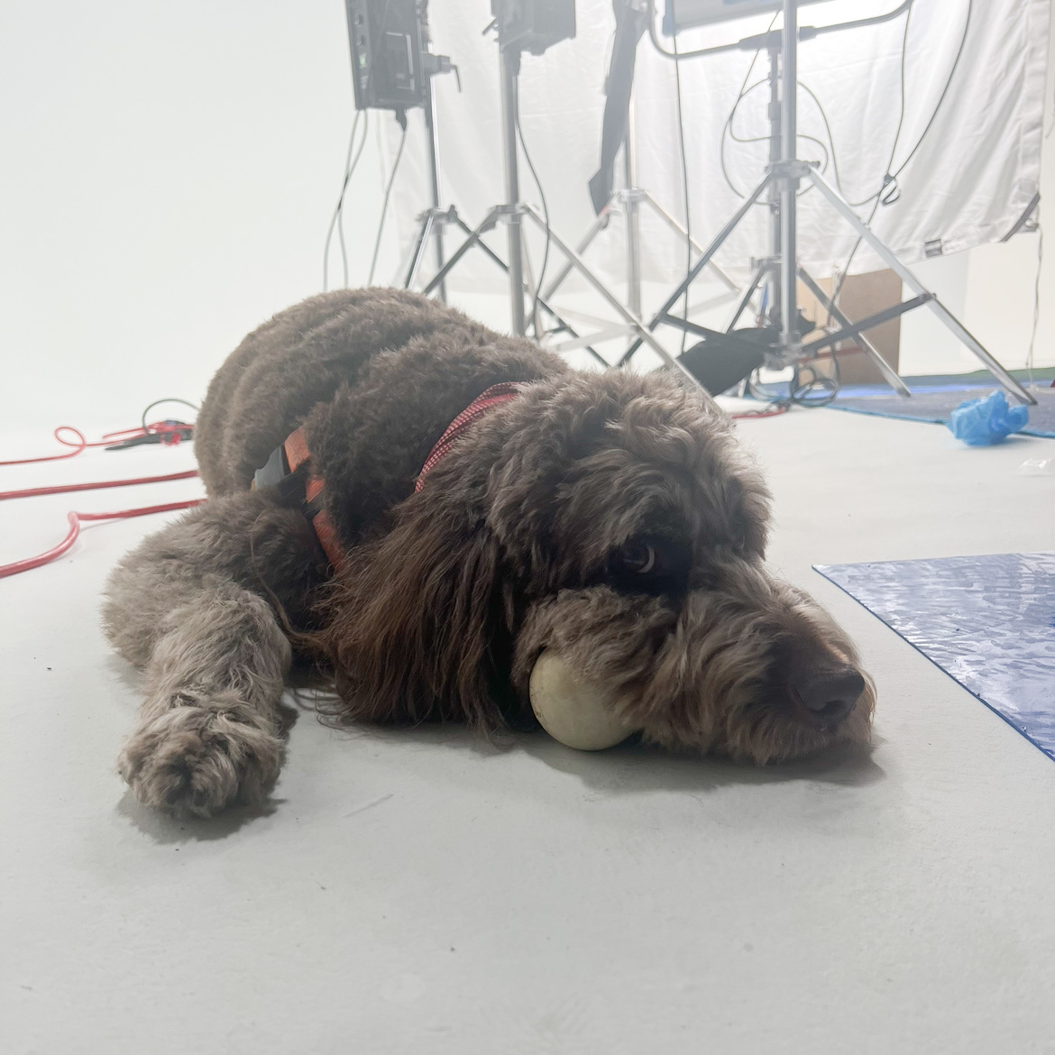 Things we LOVE - RED PRODUCTIONS